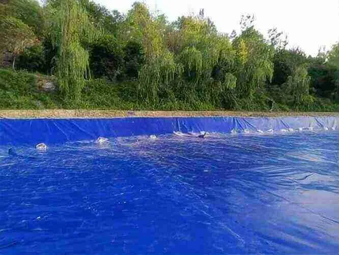 Blue Pond Liner For Swimming Pools And Water Reservoir